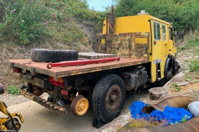 C959 YOR - Photo — ontrackplant.com