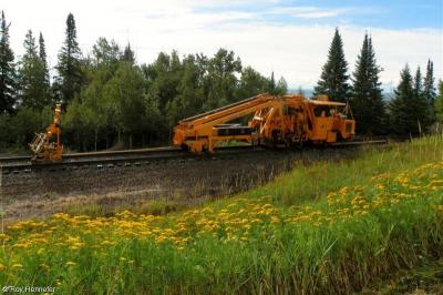 Harsco Pandrol Jackson Switch Tamper 6700 - Photo — ontrackplant.com