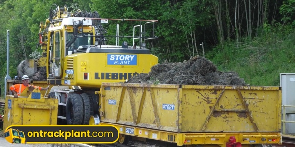 Story Plant 0816 99709010431, Story Plant 1004 99709940763 - Photo ...