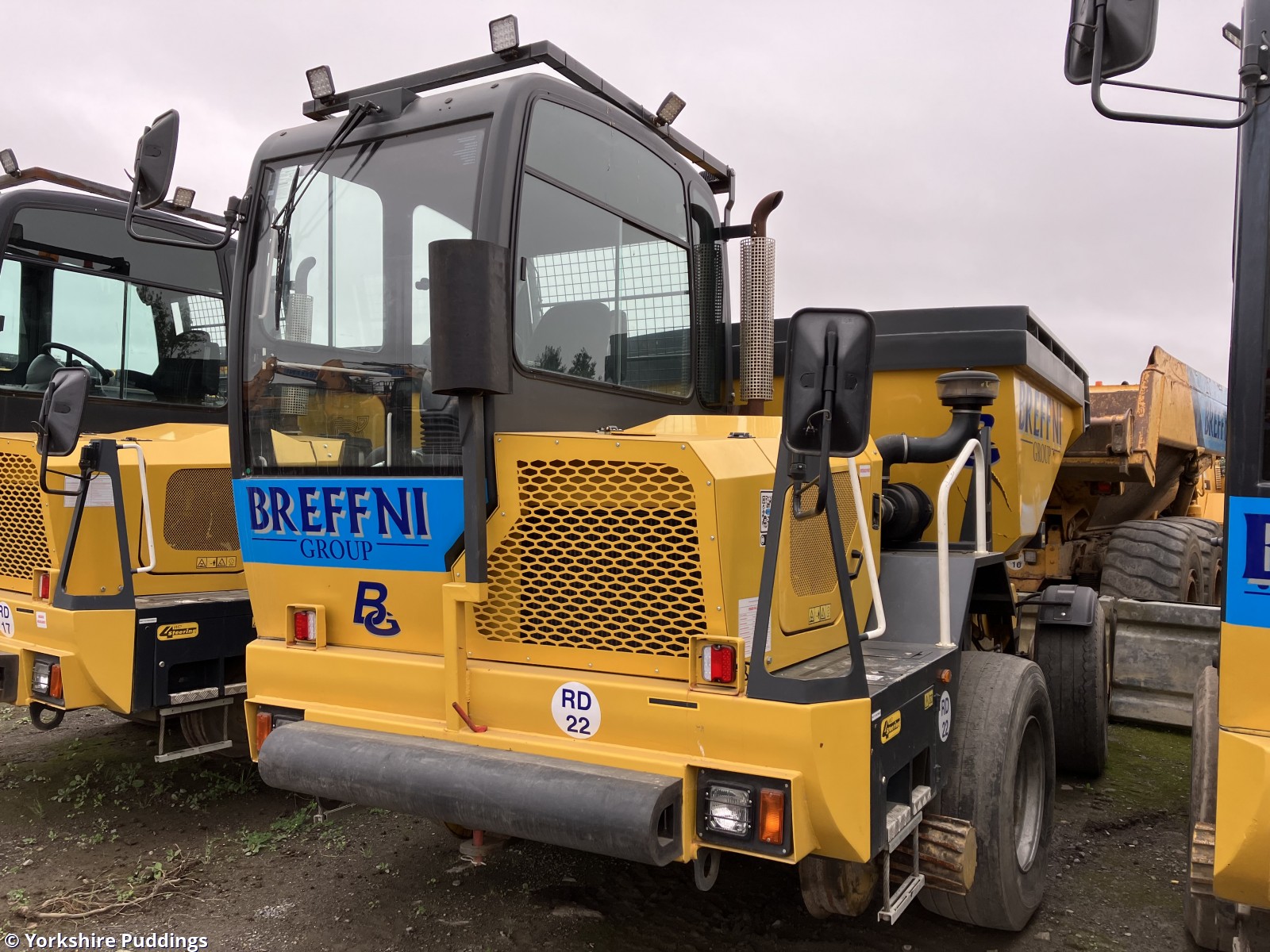 Breffni Hire RD22 - D'Avino 120TW Swivel Skip Dumper — ontrackplant.com