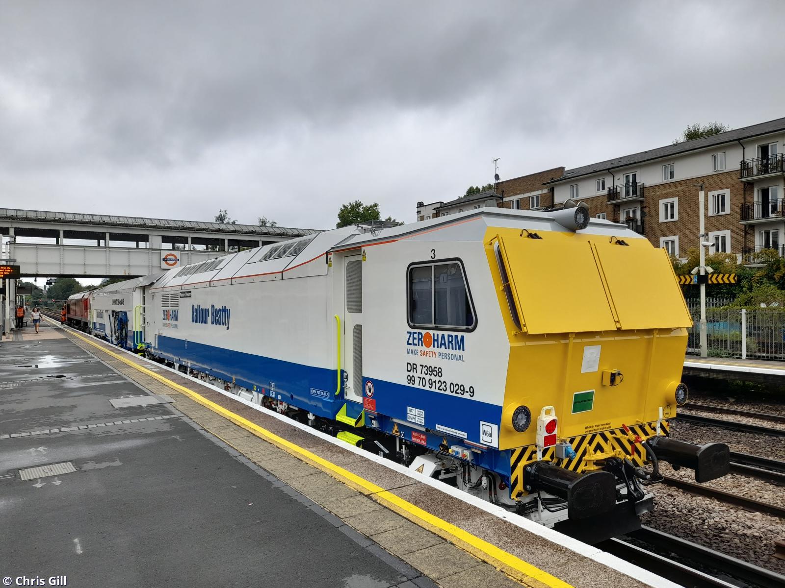 On-Track Plant Roundup - July 2025 - News — ontrackplant.com